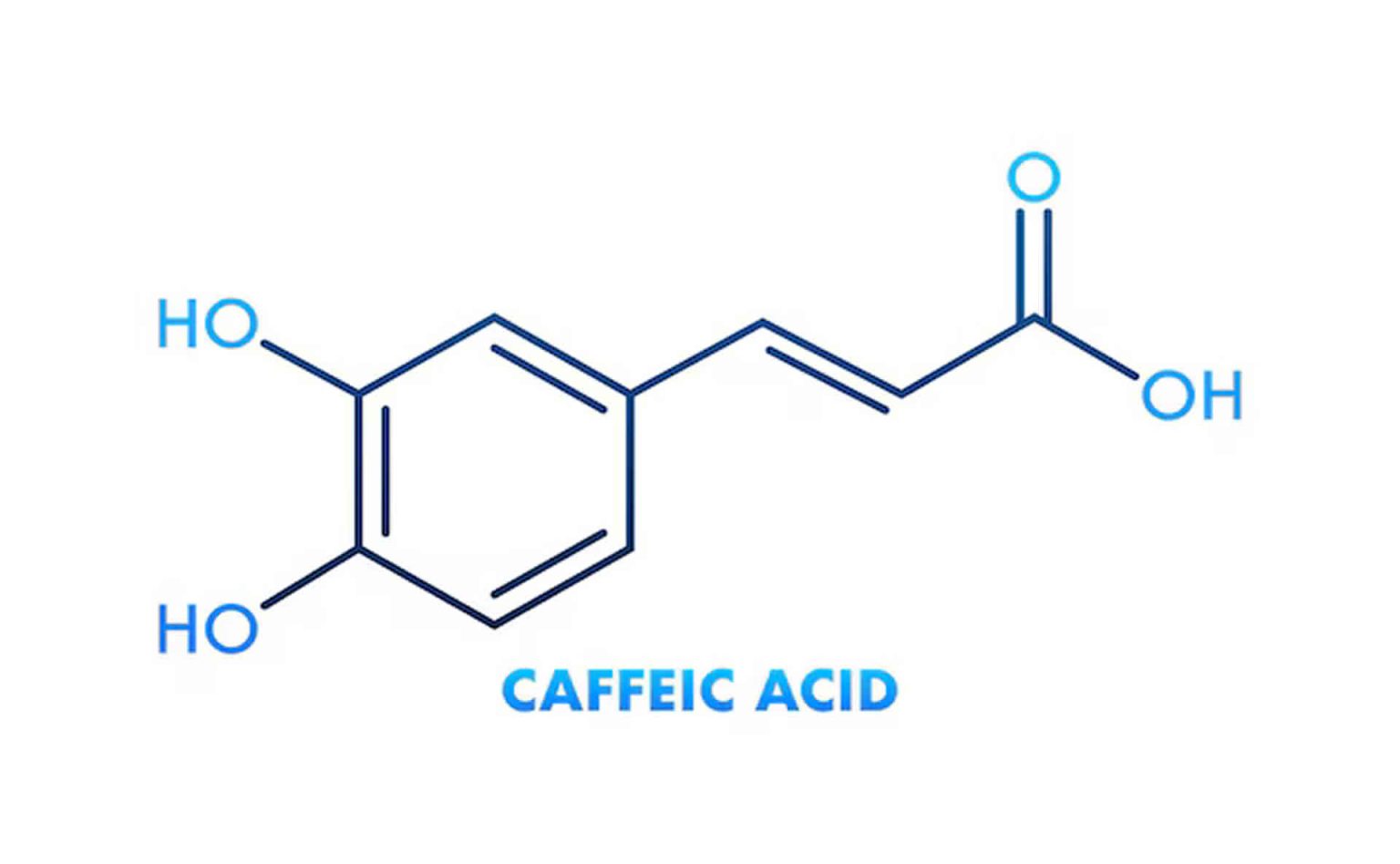 Descubre 5 Beneficios Saludables del Ácido Cafeico según Expertos